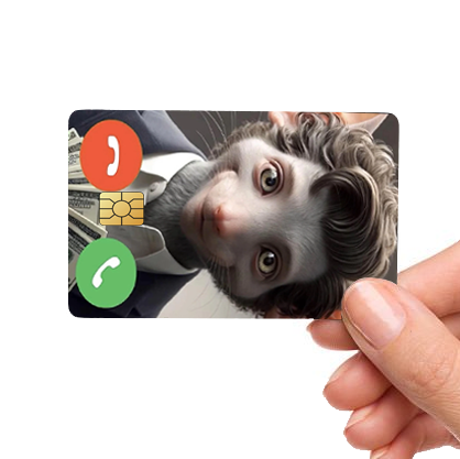 Freak Pay and Mouse Pay Card Cover Pop Culture Vinyl Skin Stickers ...